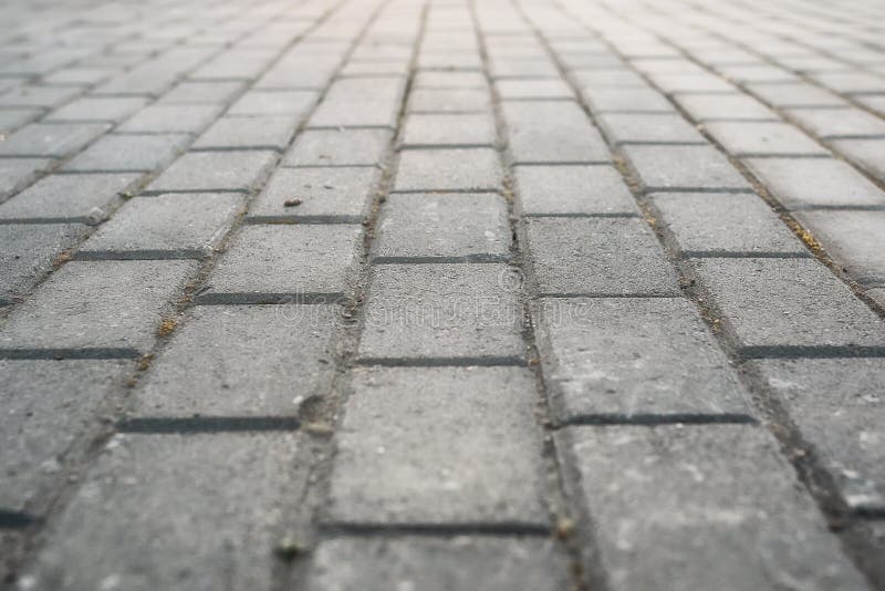 Paving Stone Path Goes Away the Prospect in Sunset Stock Photo - Image ...