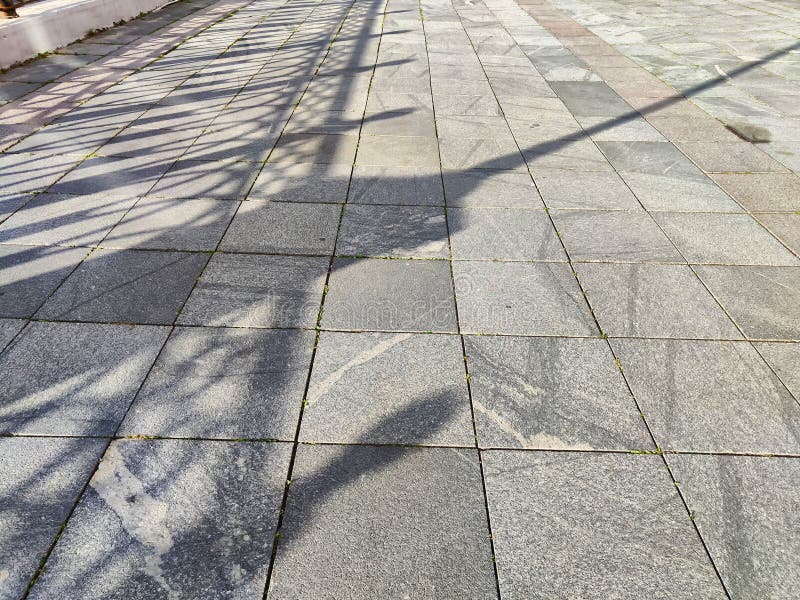 Paving Stone Tiles of Square and Rectangular Shape of Gray in ...