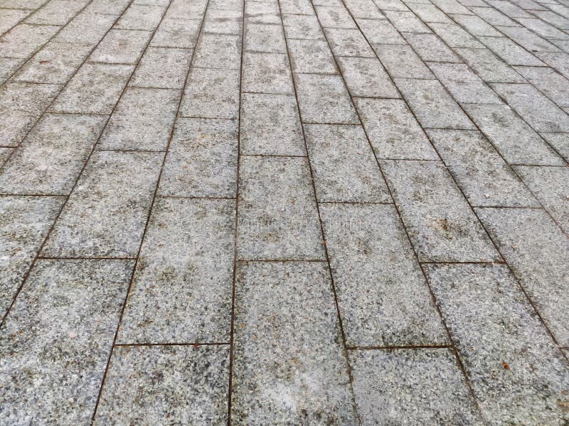 Paving Stone Tiles of Square and Rectangular Shape of Gray in ...