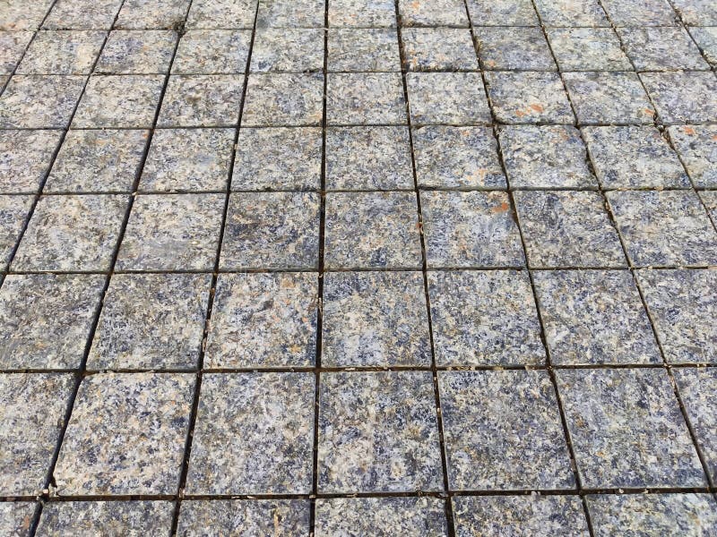 Paving Stone Tiles of Square and Rectangular Shape of Gray in ...