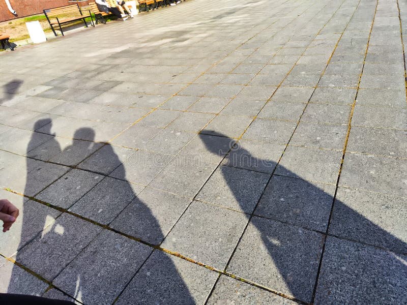 Paving Stone Tiles of Square and Rectangular Shape of Gray in ...