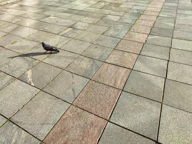 Paving Stone Tiles of Square and Rectangular Shape of Gray in ...