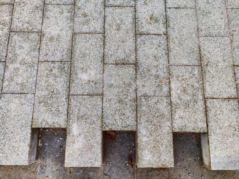 Paving Stone Tiles of Square and Rectangular Shape of Gray in ...