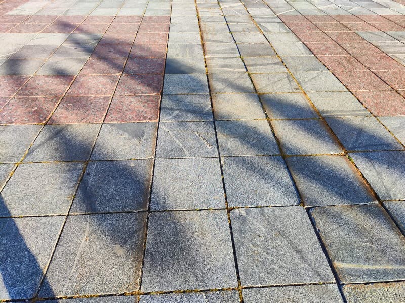 Paving Stone Tiles of Square and Rectangular Shape of Gray in ...