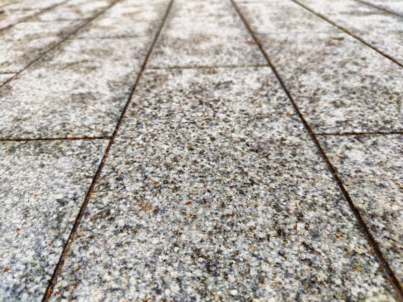 Paving Stone Tiles of Square and Rectangular Shape of Gray in ...