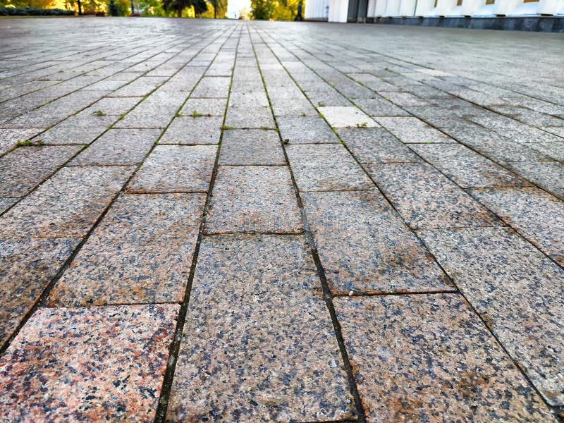 Paving Stone Tiles of Square and Rectangular Shape of Gray in ...