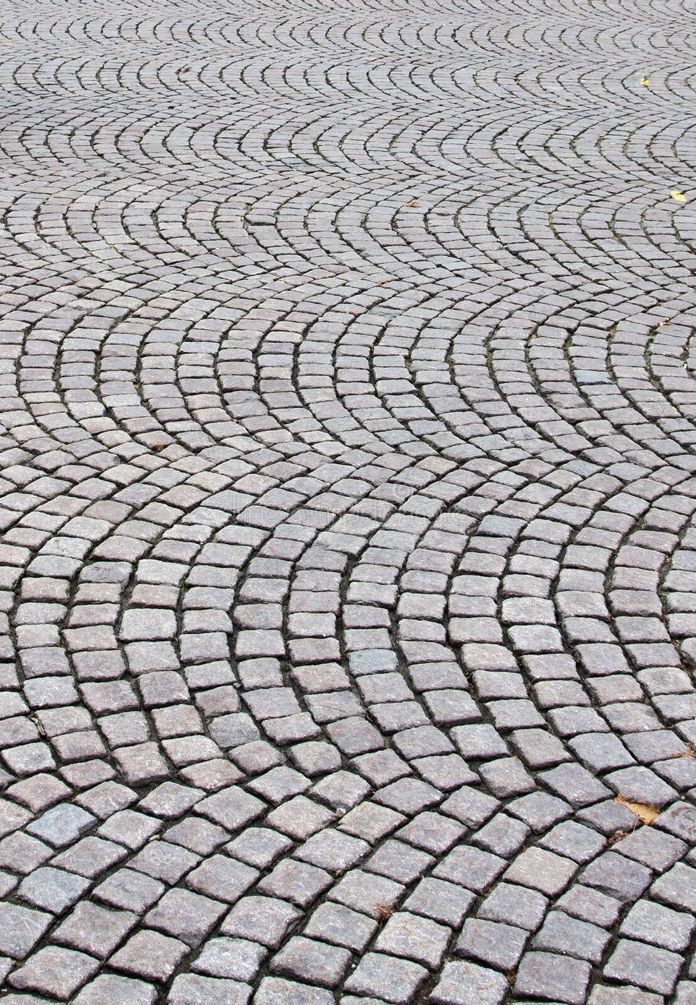 500 Circular Paving Stone Pattern Stock Photos - Free & Royalty-Free ...