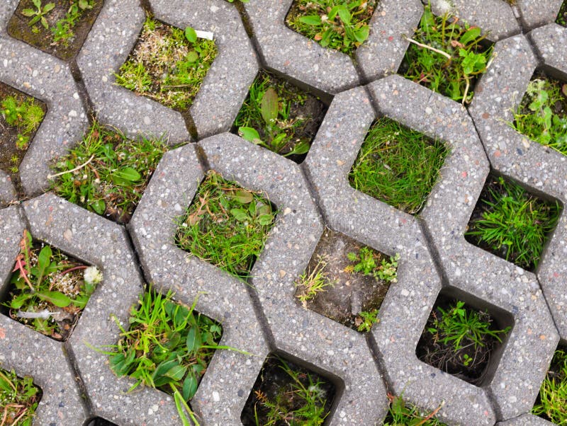 Pattern Paving Stones with Ingrown Grass Stock Photo - Image of ...