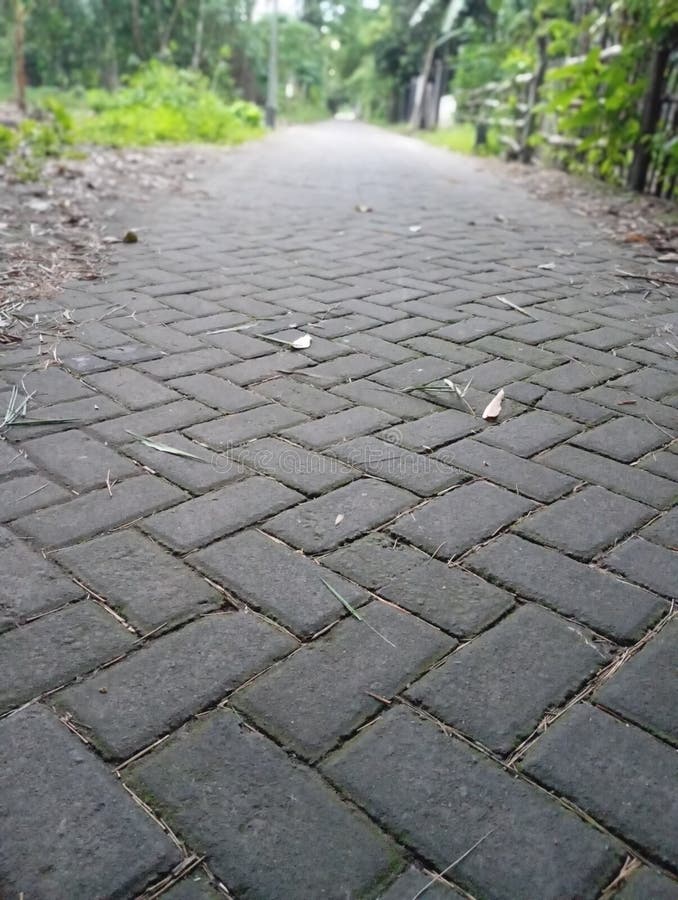 The Paving Street at Morning Stock Photo - Image of thepavingstreet ...