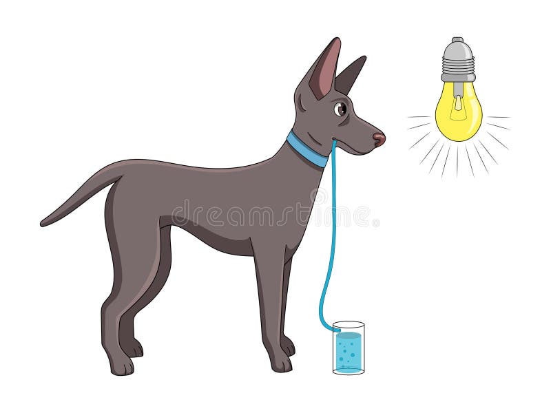 Pavlov Dog Reflex Classical Conditioning Science Stock Vector ...