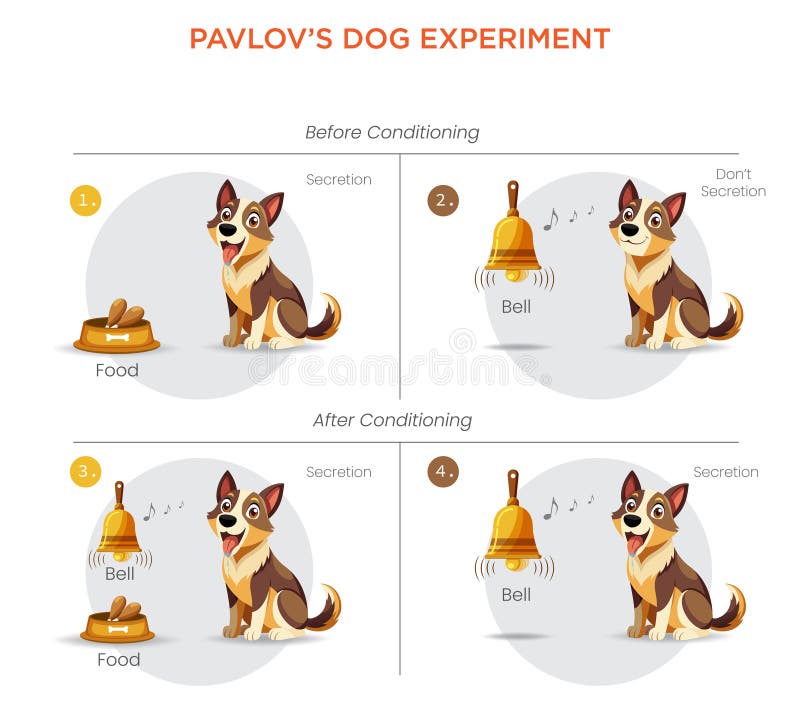 Pavlov S Dog Experiment Exploring Classical Conditioning and Learned ...