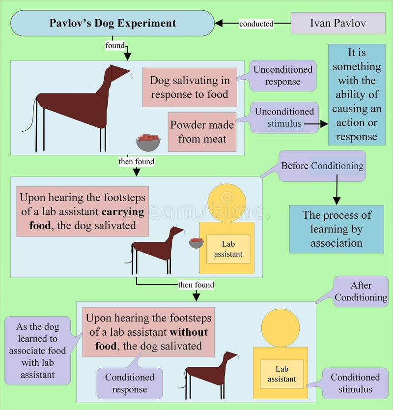Pavlovs Stock Illustrations – 10 Pavlovs Stock Illustrations, Vectors ...