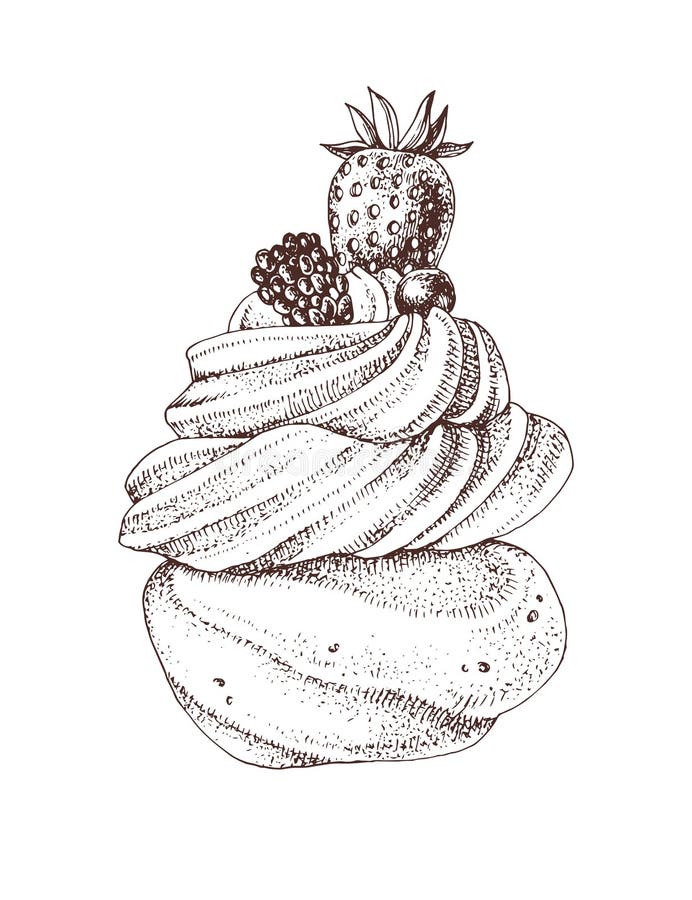 Pavlova Dessert Hand Drawn Vector Stock Vector - Illustration of baked ...