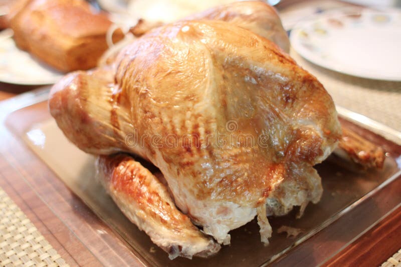 Pavo cocido delicioso foto de archivo. Imagen de bandeja - 29488036