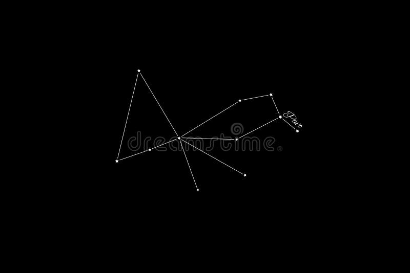 Pavo Constellation, Cluster of Stars, Peacock Constellation Stock Photo ...
