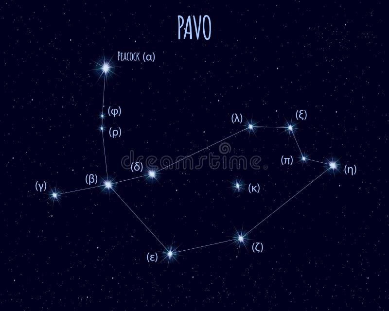 Pavo Constellation, Vector Illustration with the Names of Basic Stars ...