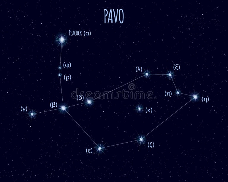 Pavo Constellation, Vector Illustration with the Names of Basic Stars ...
