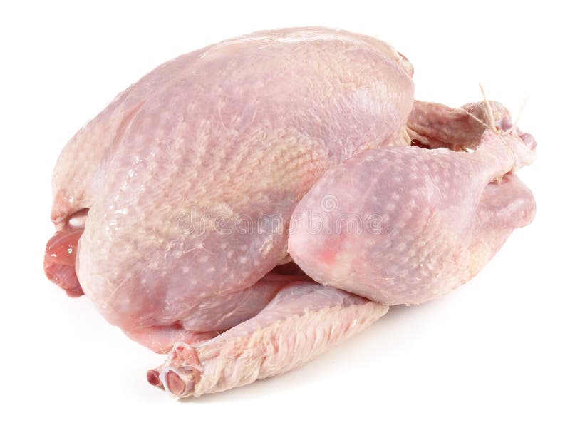 Pavo Crudo Sobre Fondo Blanco Aislado Imagen de archivo - Imagen de ...