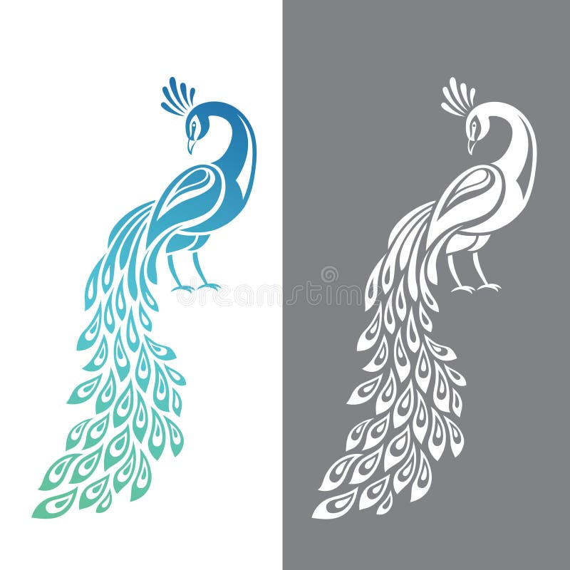 Pavo real abstracto ilustración del vector. Ilustración de hermoso ...