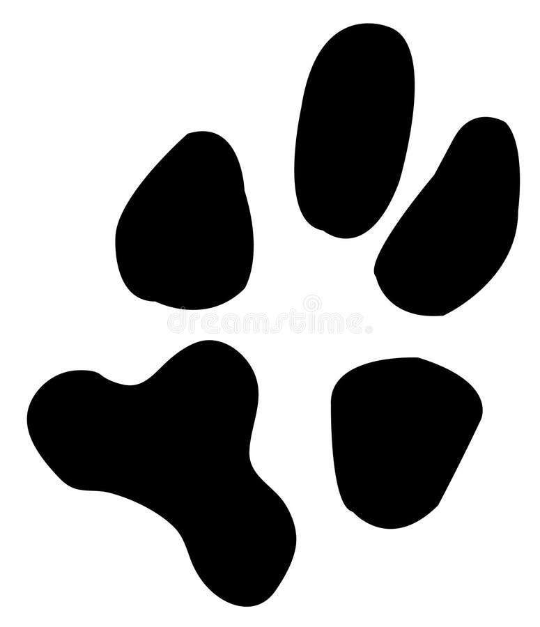 Do Dogs Have Individual Paw Prints
