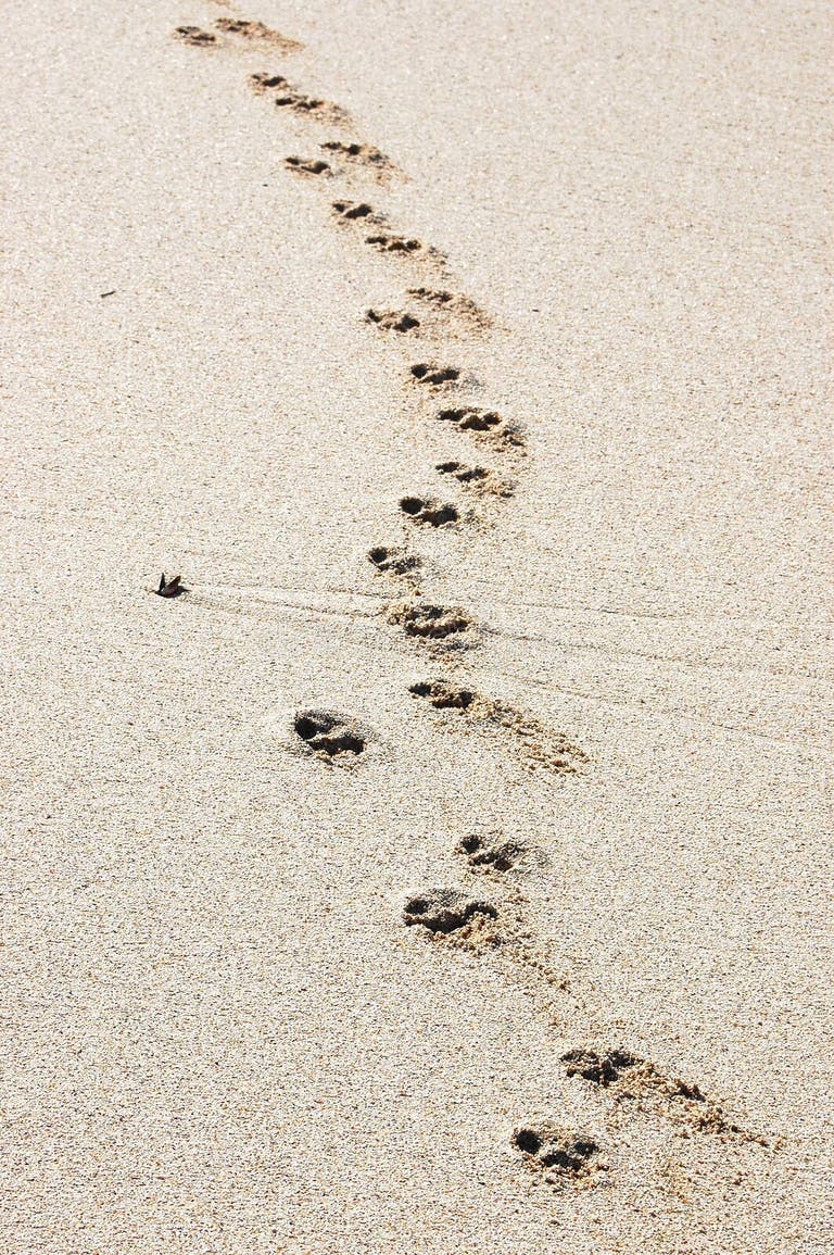 5,587 Free Sleee Prints Stock Photos - Free & Royalty-Free Stock Photos ...