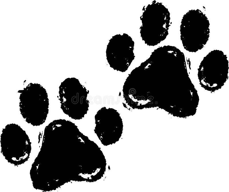 Paw Print Distressed, Dirty Vector Illustration Stock Vector ...
