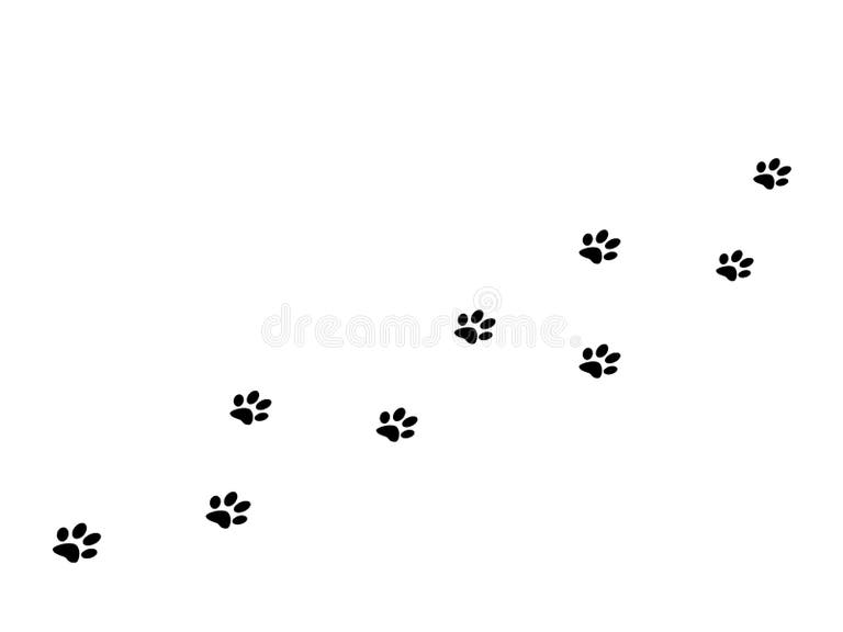 Tiger Paw Prints Stock Illustrations – 1,013 Tiger Paw Prints Stock ...