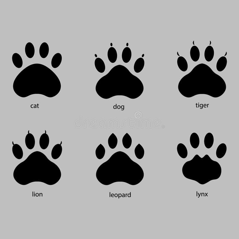 Cat Lion Identity Stock Illustrations – 967 Cat Lion Identity Stock ...