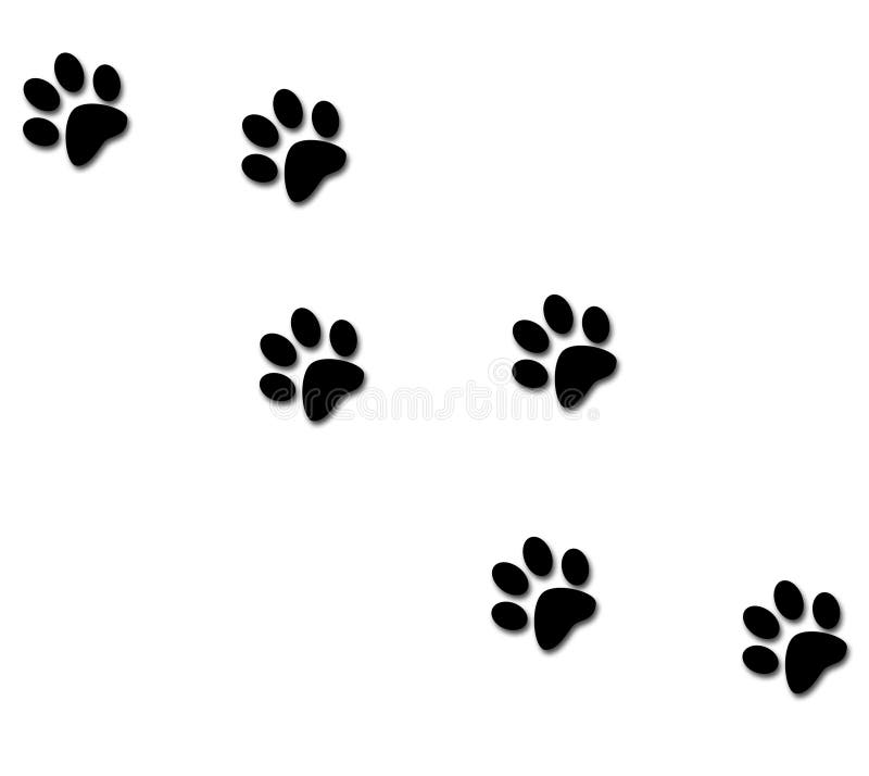 Paw prints stock vector. Illustration of hound, claw, background - 7958534