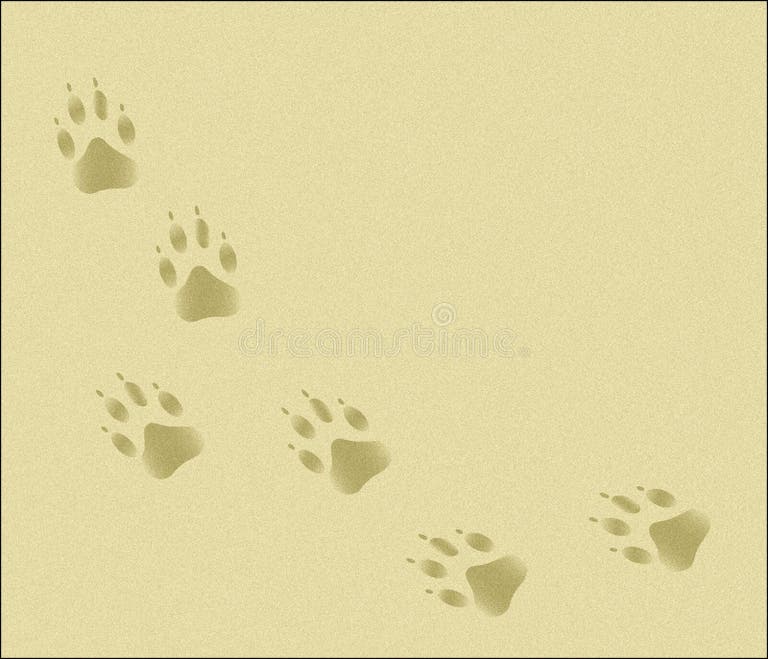 Paw Tracks in Sand stock illustration. Illustration of beige - 11602122