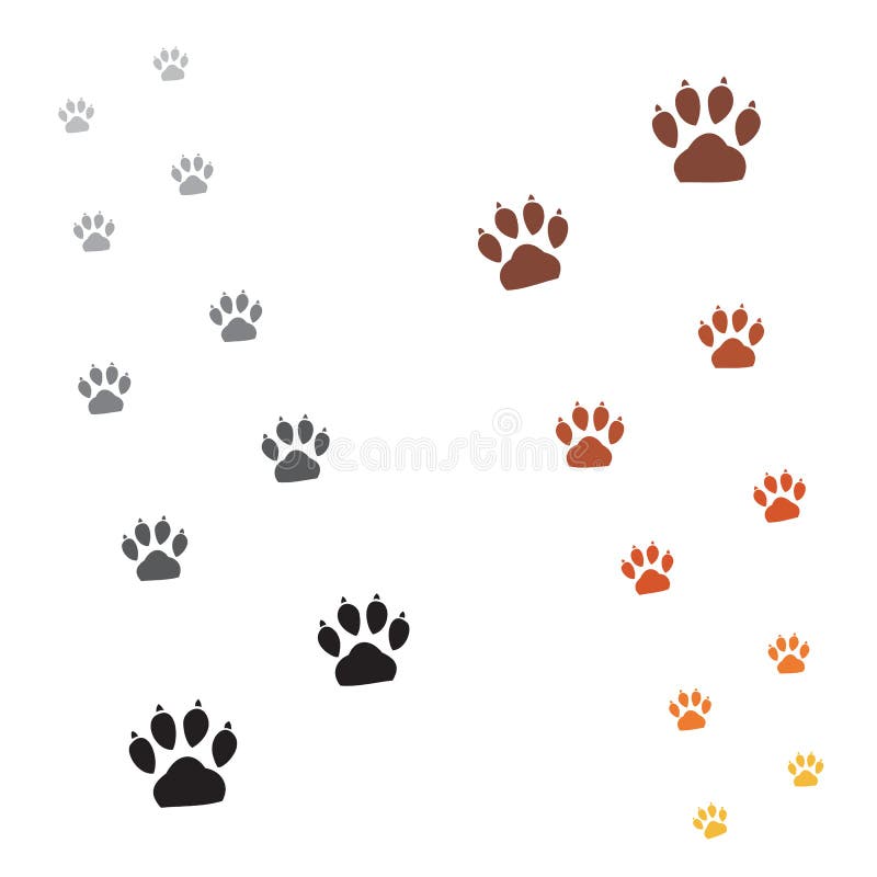 Realistic Cheetah Tracks or Footprints Stock Vector - Illustration of ...