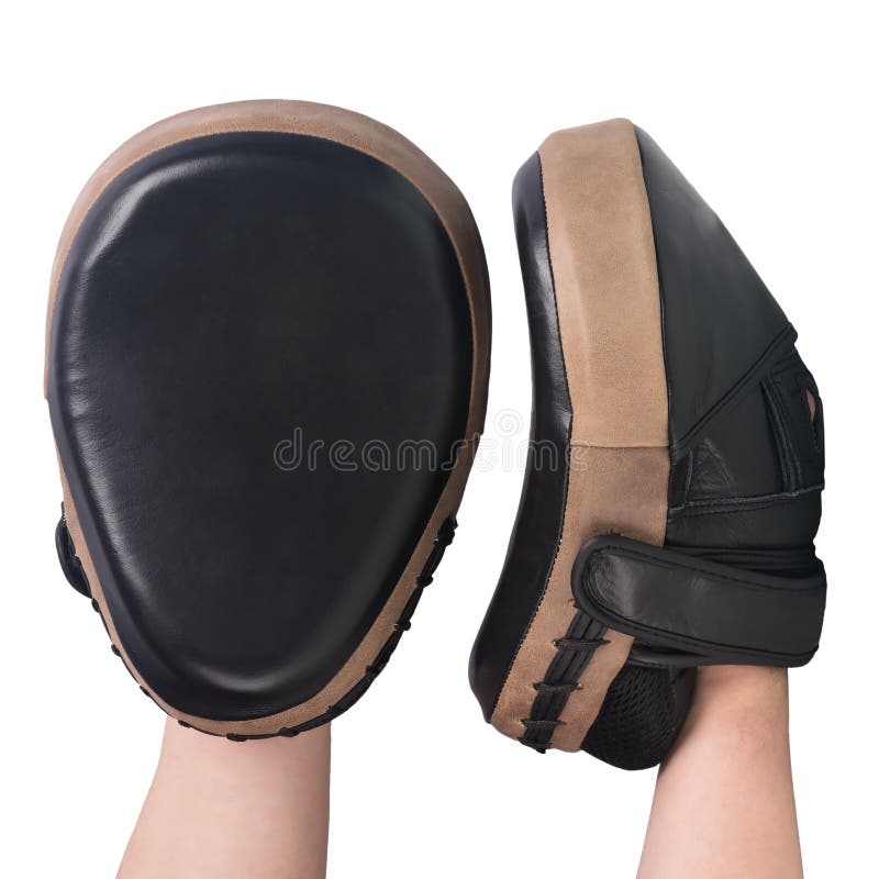 Paws for Practicing Punches with a Trainer Isolated on White Background ...