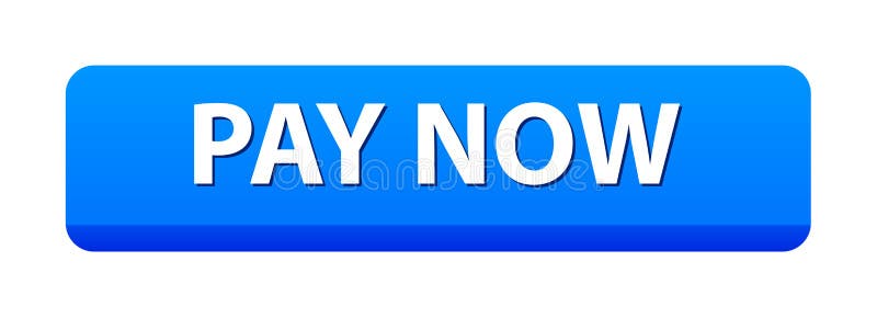 Pay now button stock vector. Illustration of button - 199608216
