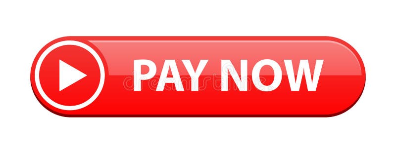 Pay now button stock vector. Illustration of concept - 199608990
