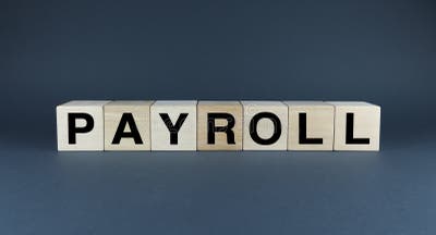 The Payroll Process: a Vital Business Function Stock Image - Image of ...