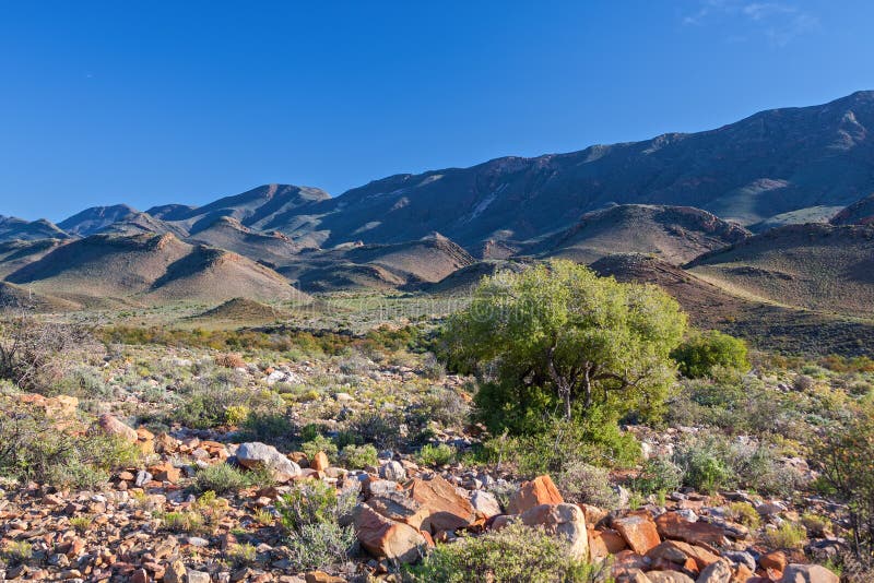 235,137 Aride Photos libres de droits et gratuites de Dreamstime