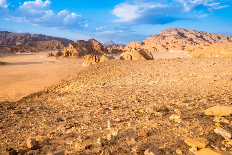 Paysage Aride Sinai, Egypte De Désert D'or Image stock - Image du ...