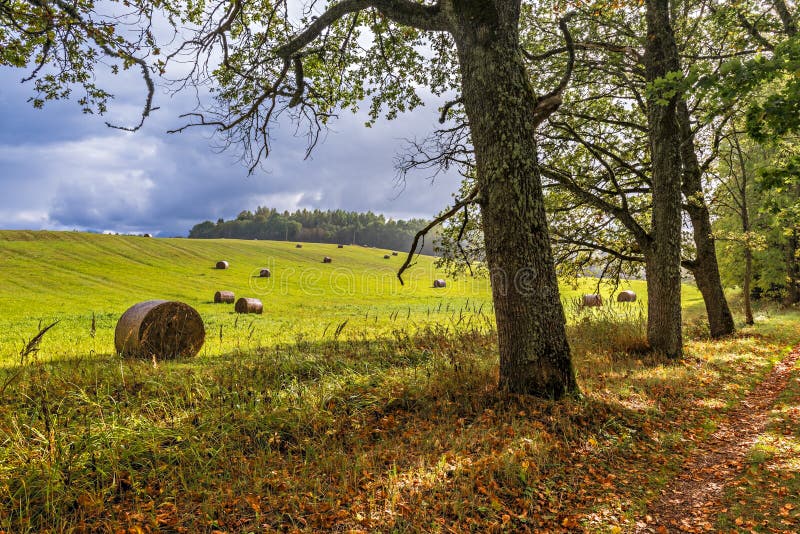 Paysage De Campagne En Automne Photo stock - Image du most, idyllique ...