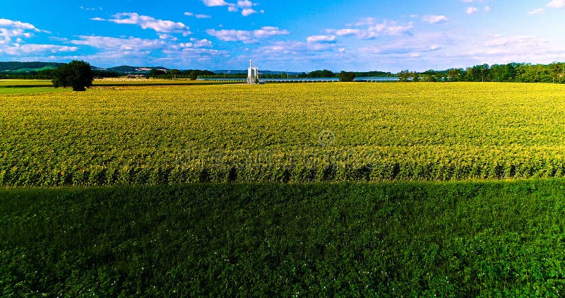 Paysage De Champ Dans La Campagne Image stock - Image du automne ...