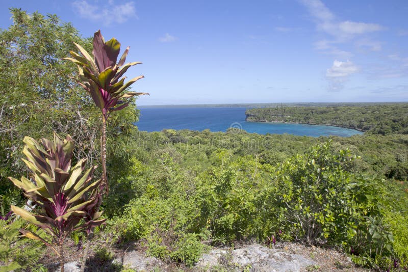 Lifou photo stock. Image du îles, île, neuf, fidélité - 29255336