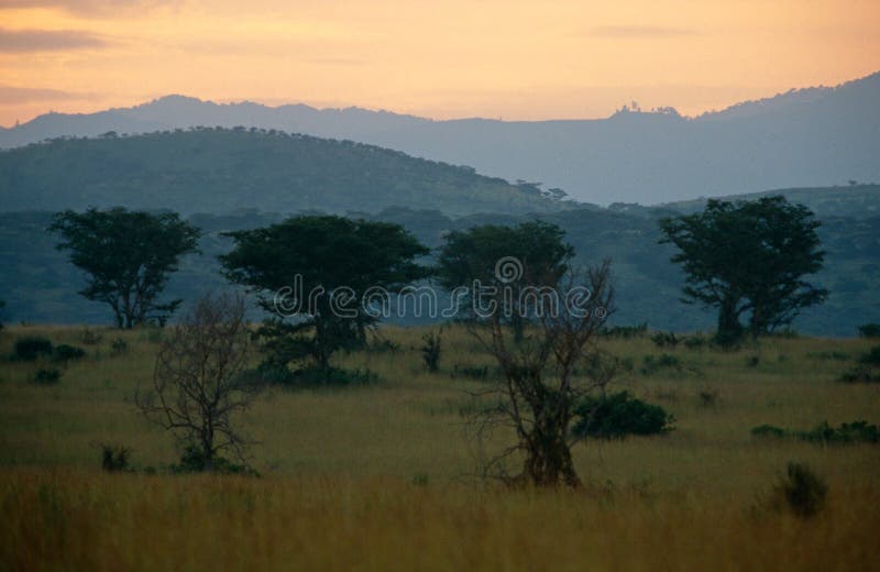 Paysage ougandais. photographie éditorial. Image du côtes - 25774827