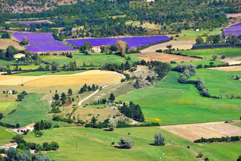 Paysage Rural De La Provence, France Photo stock - Image du beau ...