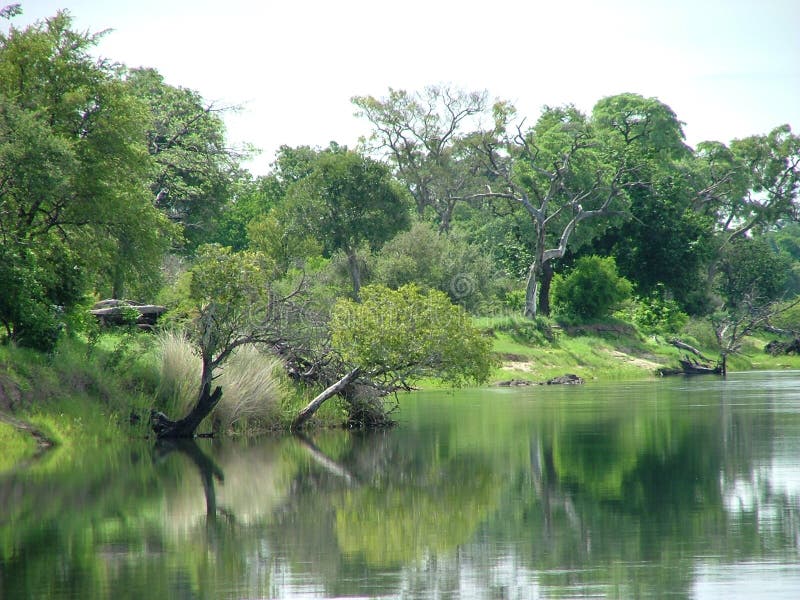 A paz gosta de um rio foto de stock. Imagem de original - 125862326