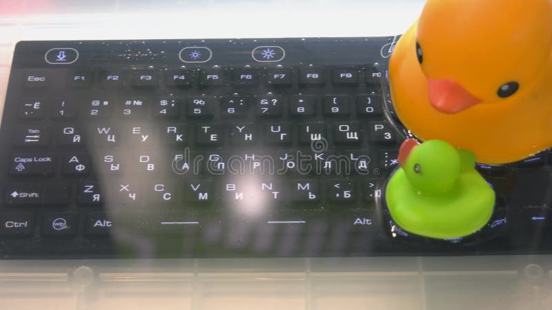 Pc Keyboard and Mouse Under the Water. Stock Video - Video of rubber ...