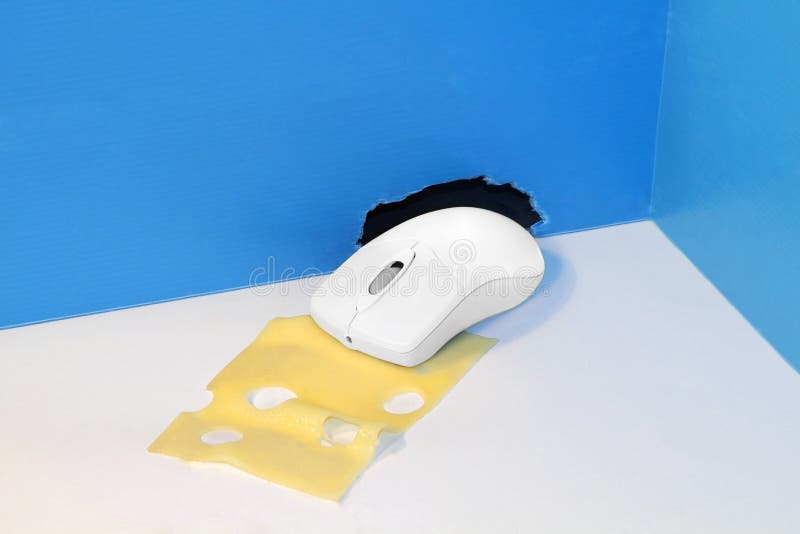 PC mouse and cheese stock image. Image of commands, internet - 28935395