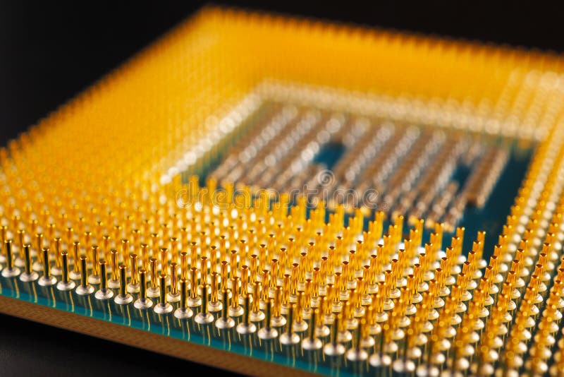 PC Processor is Very Close Up. Pins and Connectors. Focus on Rows of ...