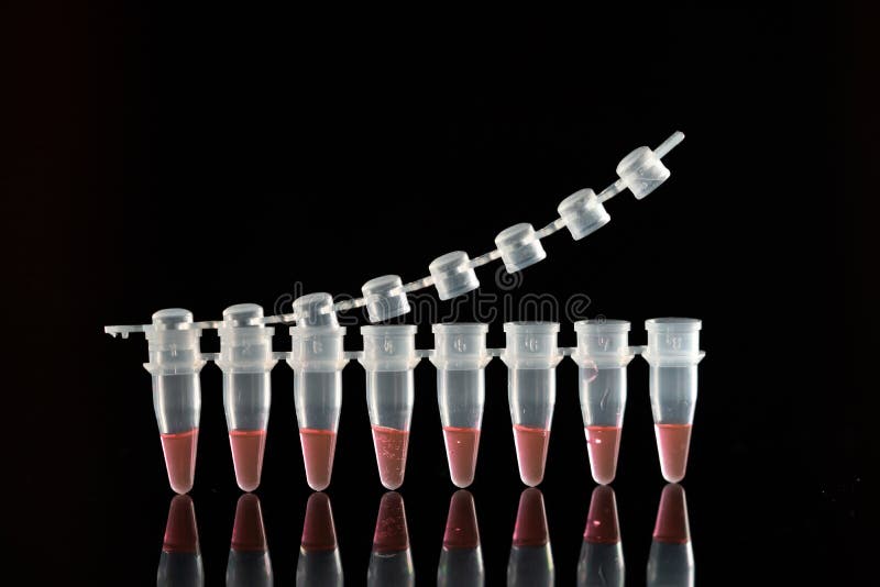 Pcr Micro Tube for Coronavirus Identification on Black Stock Image ...
