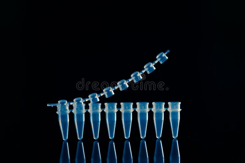 Pcr Micro Tube for Coronavirus Identification on Black Stock Image ...