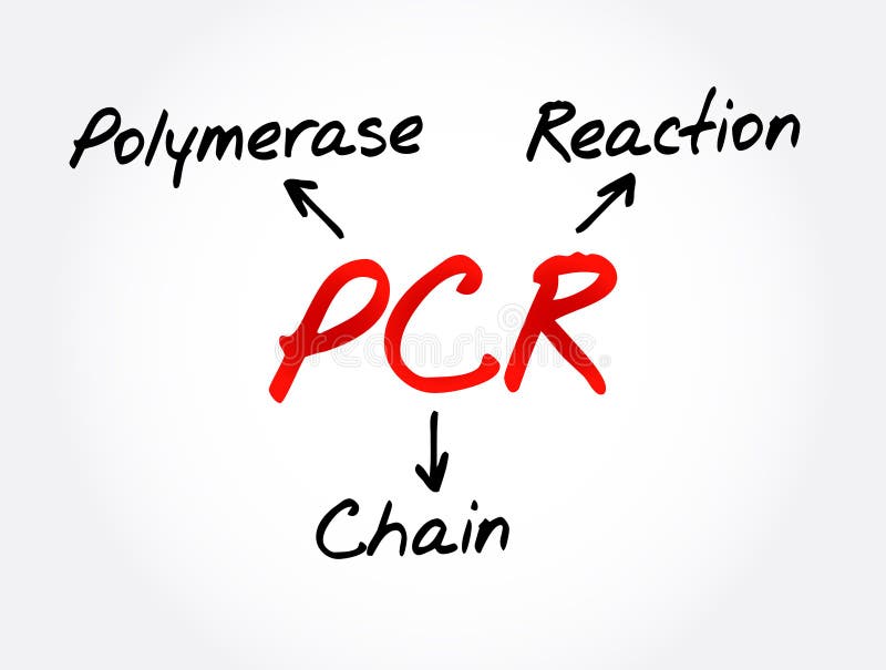 Polymerase Chain Reaction Stock Illustrations – 294 Polymerase Chain ... Polymerase Chain Reaction Stock Illustrations – 294 Polymerase Chain ...