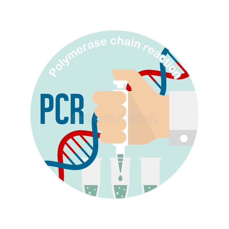 PCR Polymerase Chain Reaction Test Banner Illustration / Novel ... PCR Polymerase Chain Reaction Test Banner Illustration / Novel ...